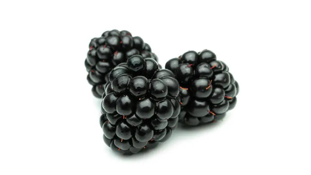 WF Natural Mora (Blackberry) Flavouring Concentrate