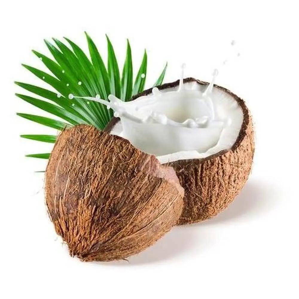 FA Coconut Food Flavouring Concentrate